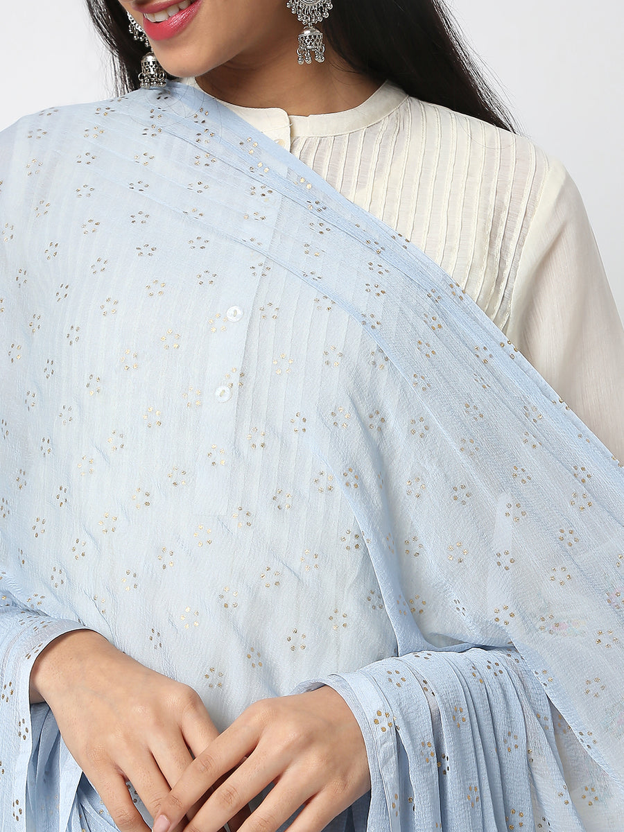 Women's Dusty Blue Nylon Chiffon Printed Dupatta